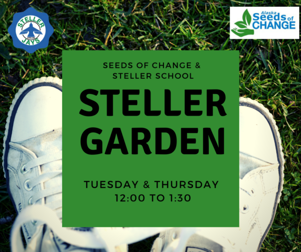 Steller Garden in the Summer! | Steller Parent Group